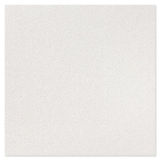 Amf Thermatex Feinstratos T-15 610x610x15mm 14un.(723760)